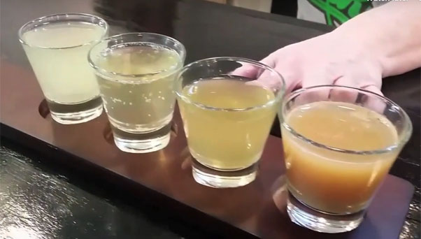 OC’s Best Kombucha Bar | KEGJOY™